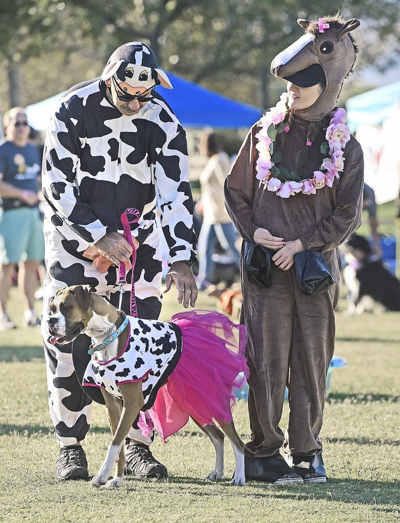 Bark for Life, against cancer