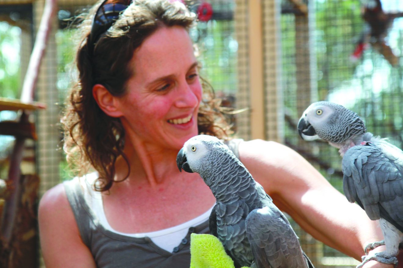 The case for bird adoption