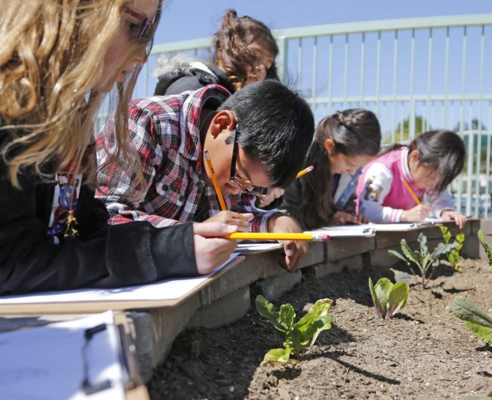 Garden program takes root with students at Charles Helmers