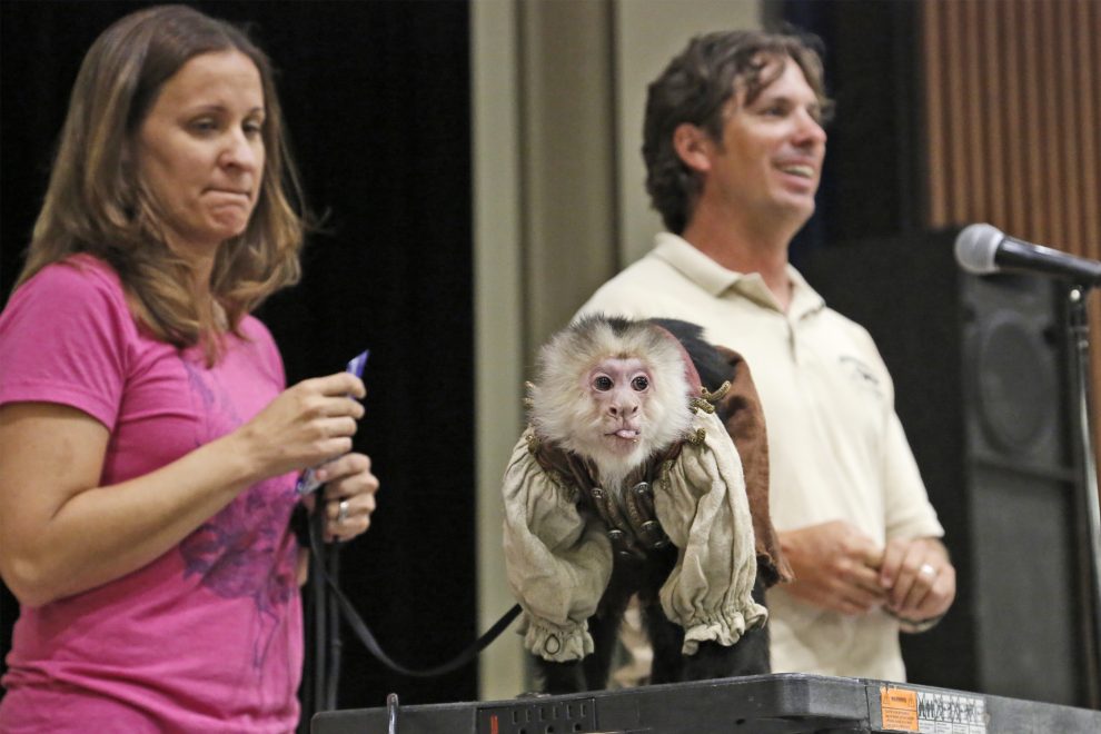 Students explore career pathways through middle school speaker series