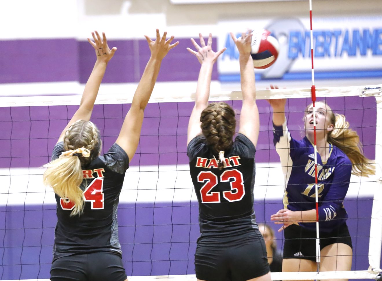 2017 All-SCV girls volleyball team