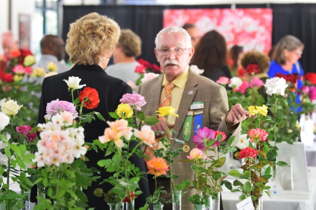 Wild West Rose Show held for budding rose enthusiasts