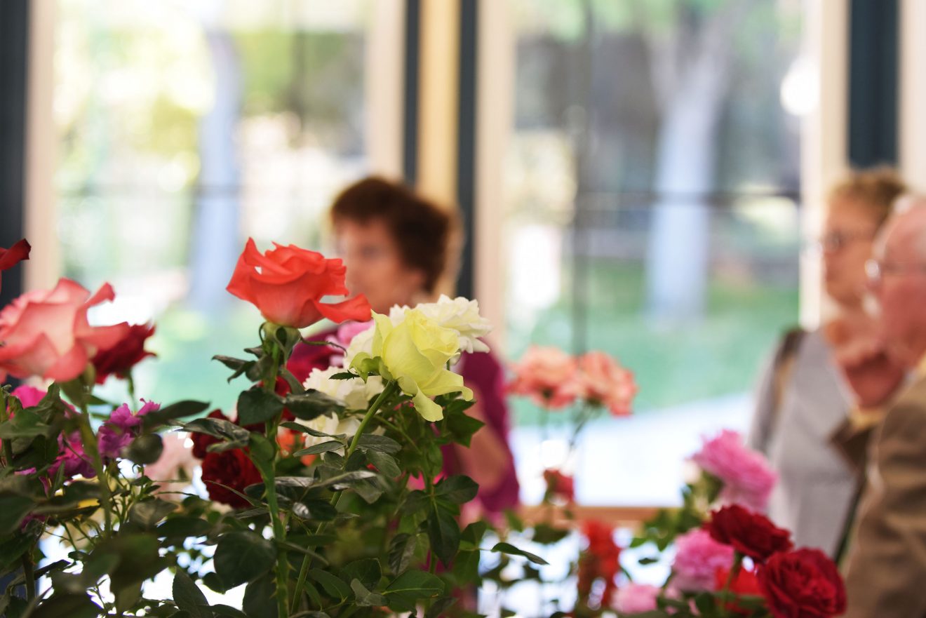 Wild West Rose Show held for budding rose enthusiasts