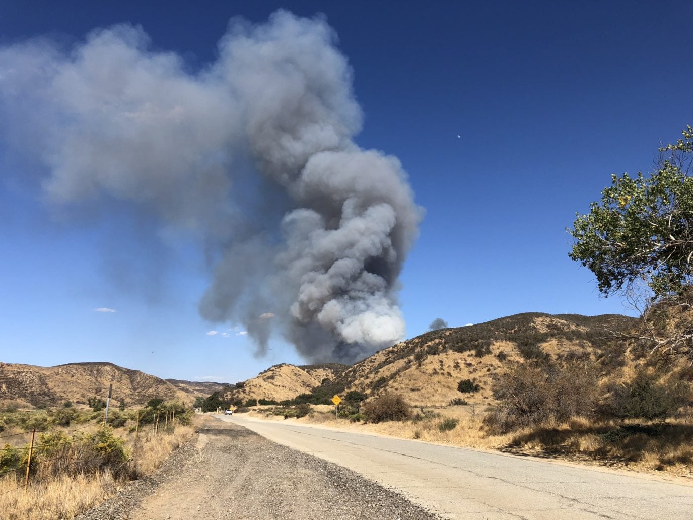 PHOTOS: fire crews respond to the Charlie Fire