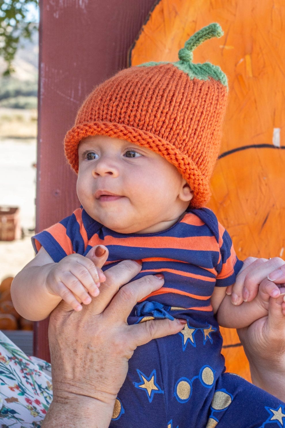 Ranch reminder: Lombardi Ranch owners return tradition to public for ...