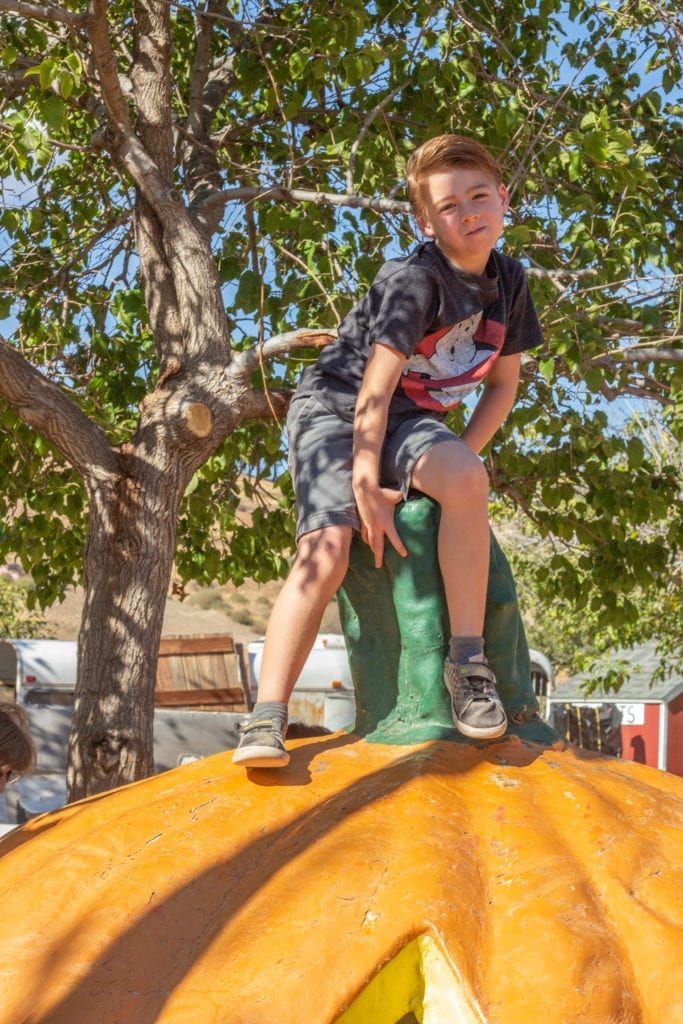 Ranch reminder: Lombardi Ranch owners return tradition to public for ...