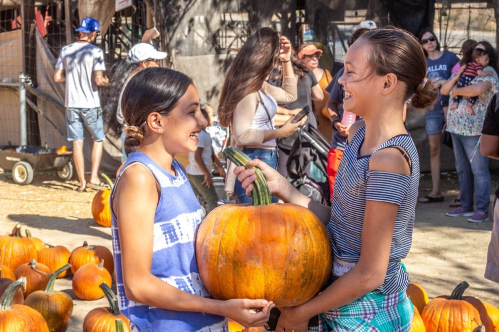 Ranch reminder: Lombardi Ranch owners return tradition to public for ...