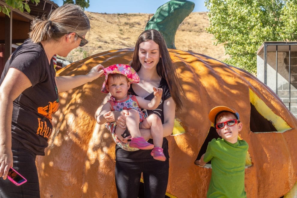 Ranch reminder: Lombardi Ranch owners return tradition to public for ...