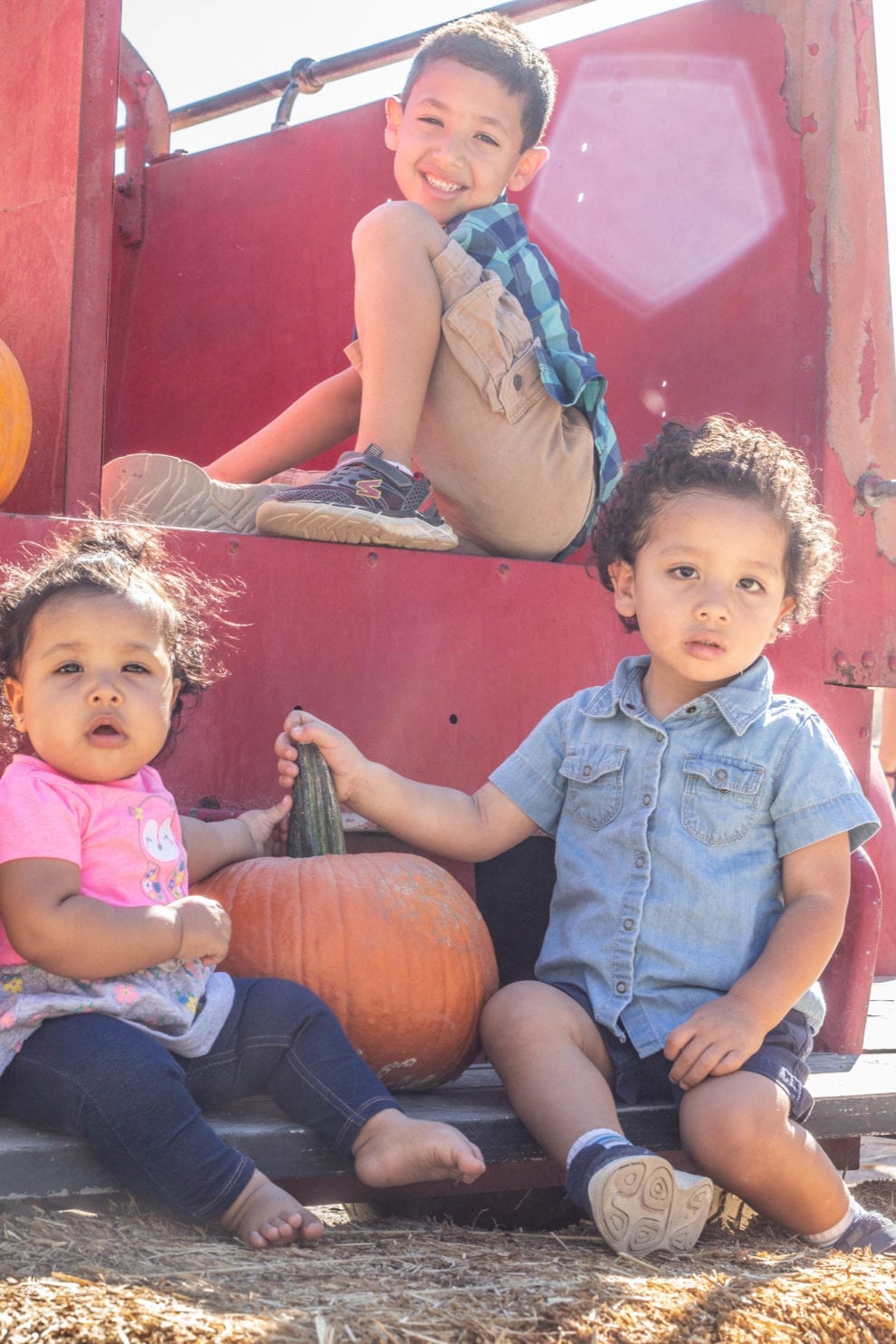 Ranch reminder: Lombardi Ranch owners return tradition to public for ...