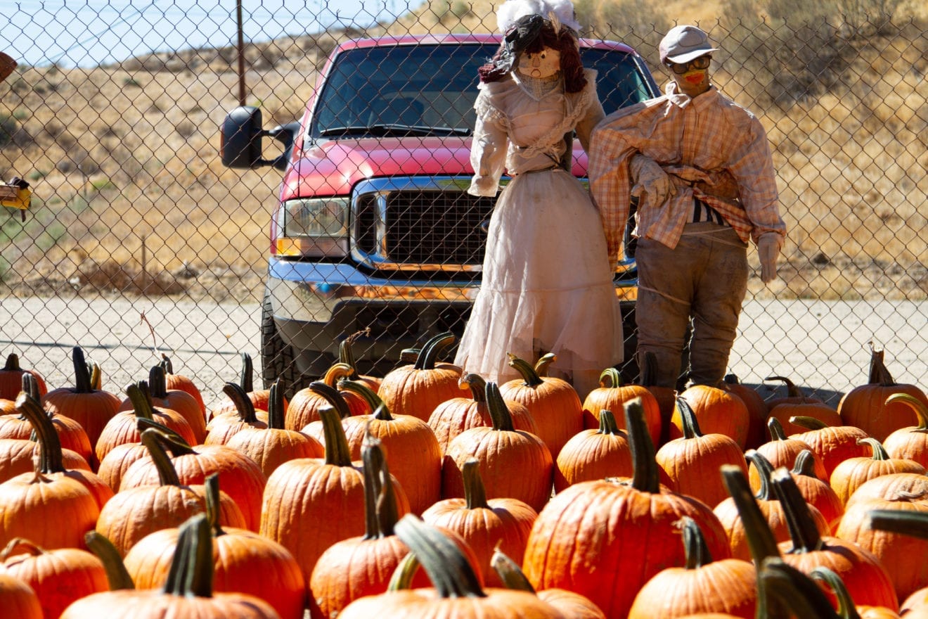 New and familiar faces welcomed back to Lombardi Ranch