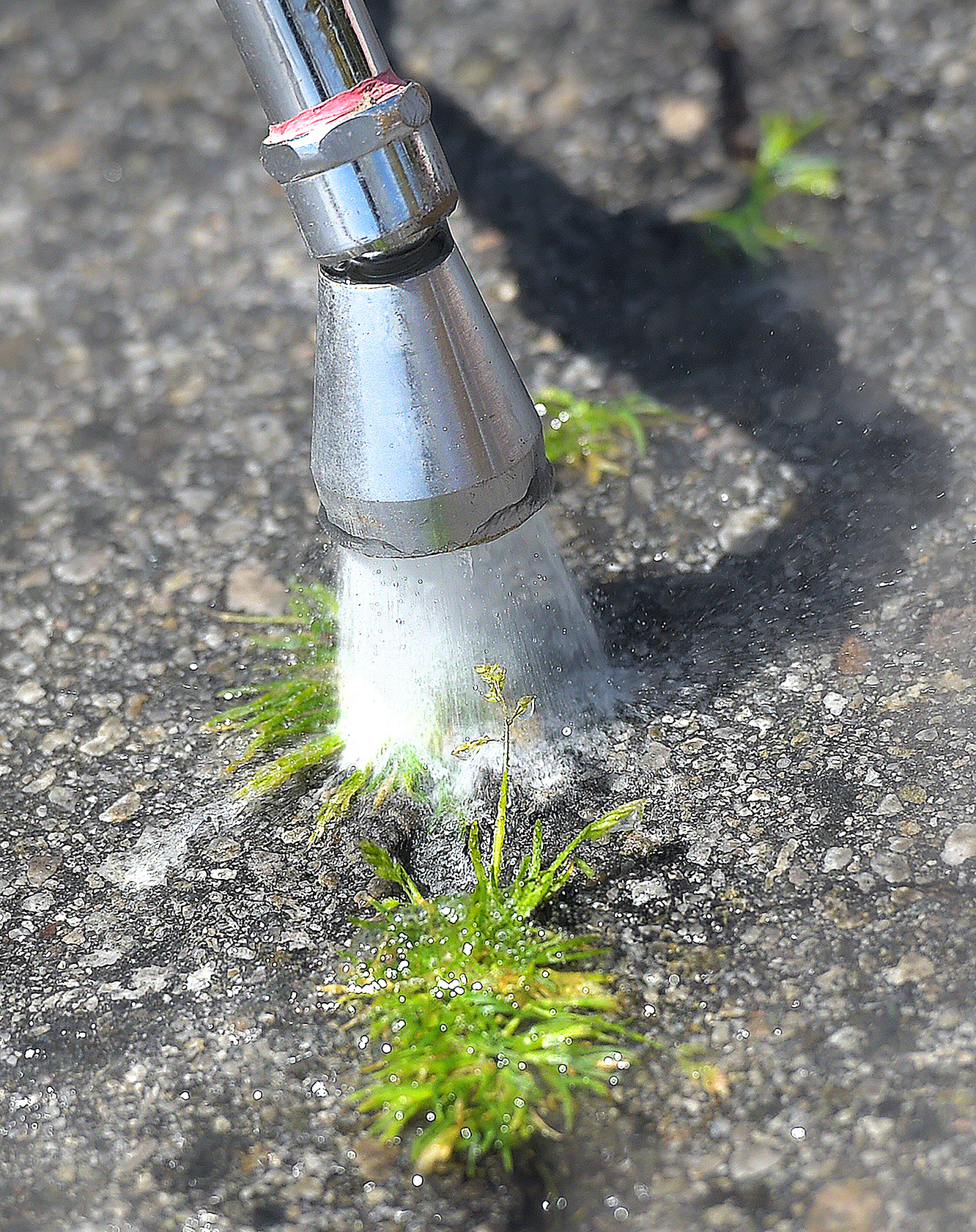 SUSD unveils new, eco-friendly weed remover