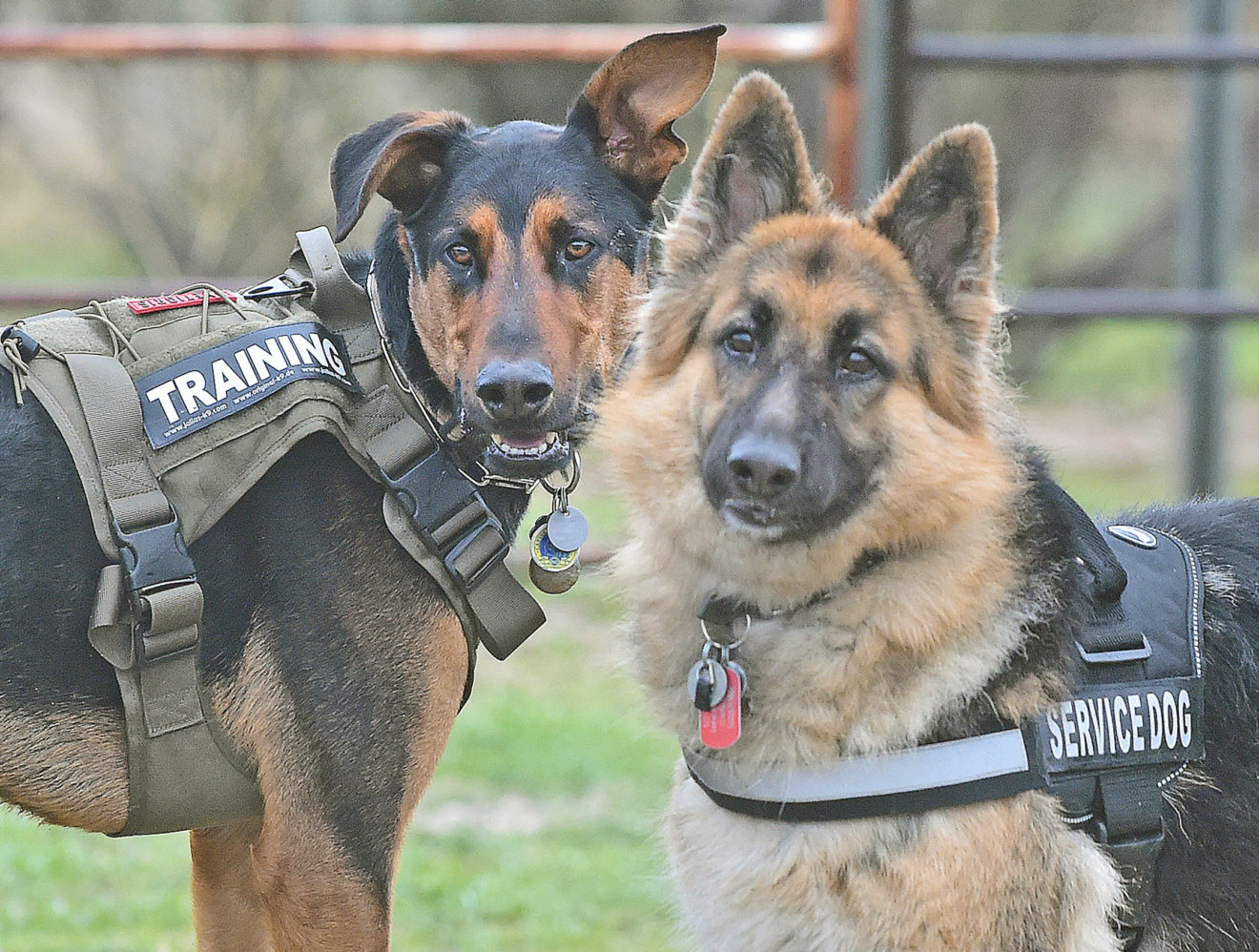 A difference between service and support