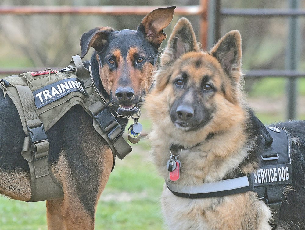 A difference between service and support