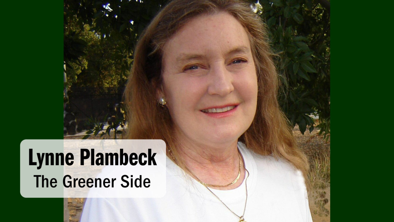 Lynne Plambeck | Warming Climate and Our Water