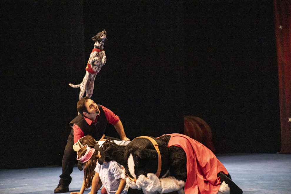 Stunt dog experience leaves the audience in awe