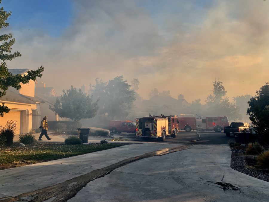 Emily Alvarenga | Tick Fire: Reflections from the fire lines