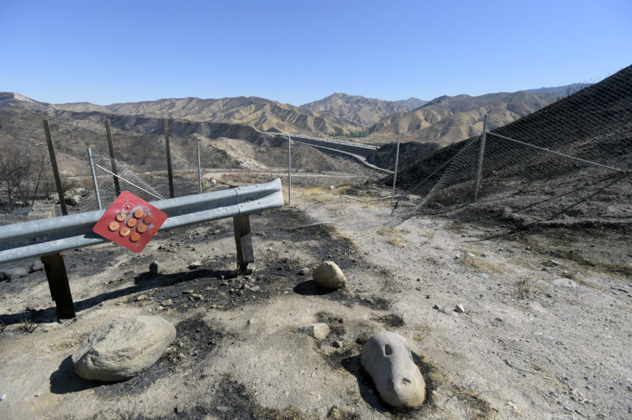 Homicide detective: Tick Fire skeleton is not Will Cierzan