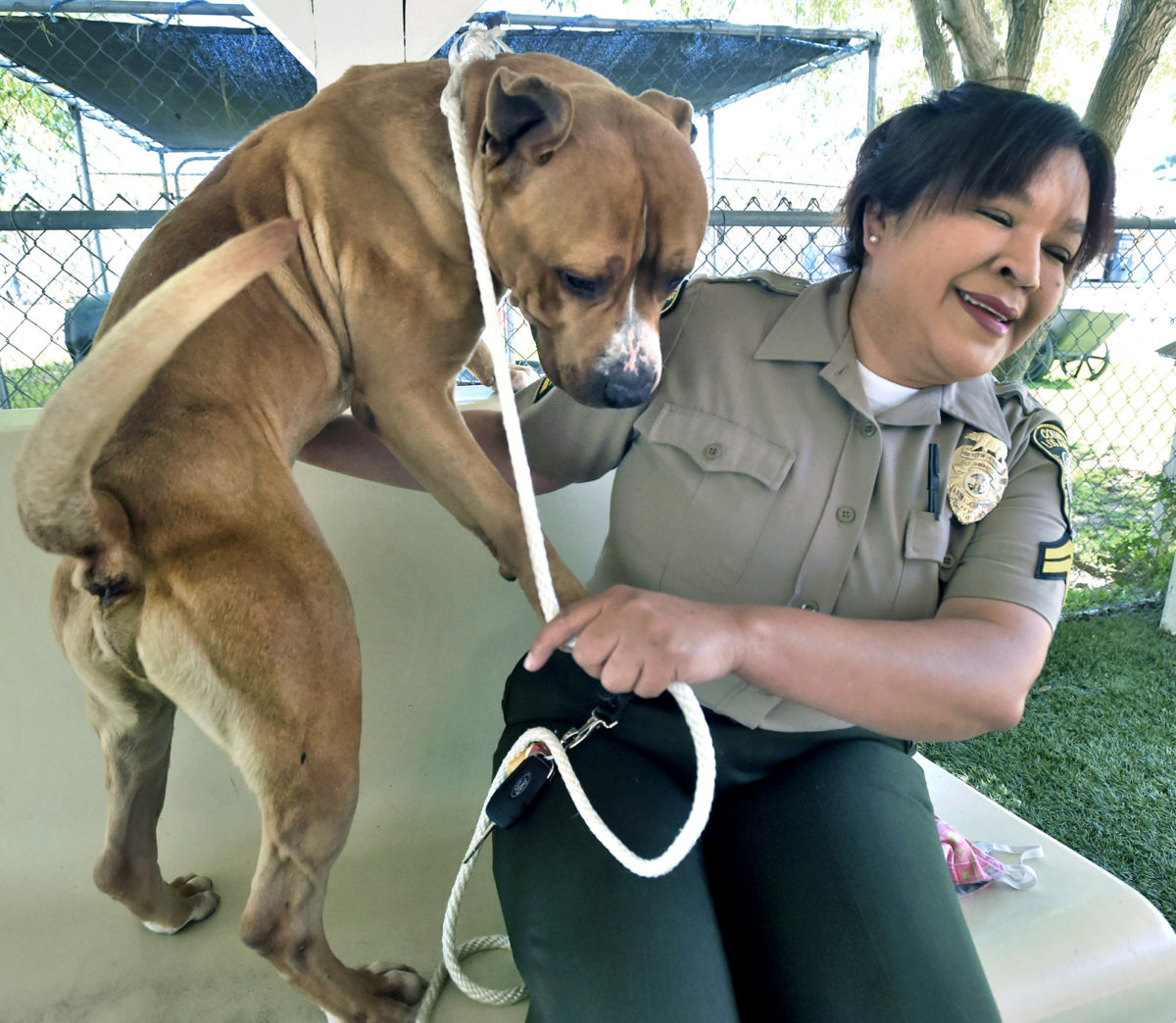 It’s time to thank the animal control officers