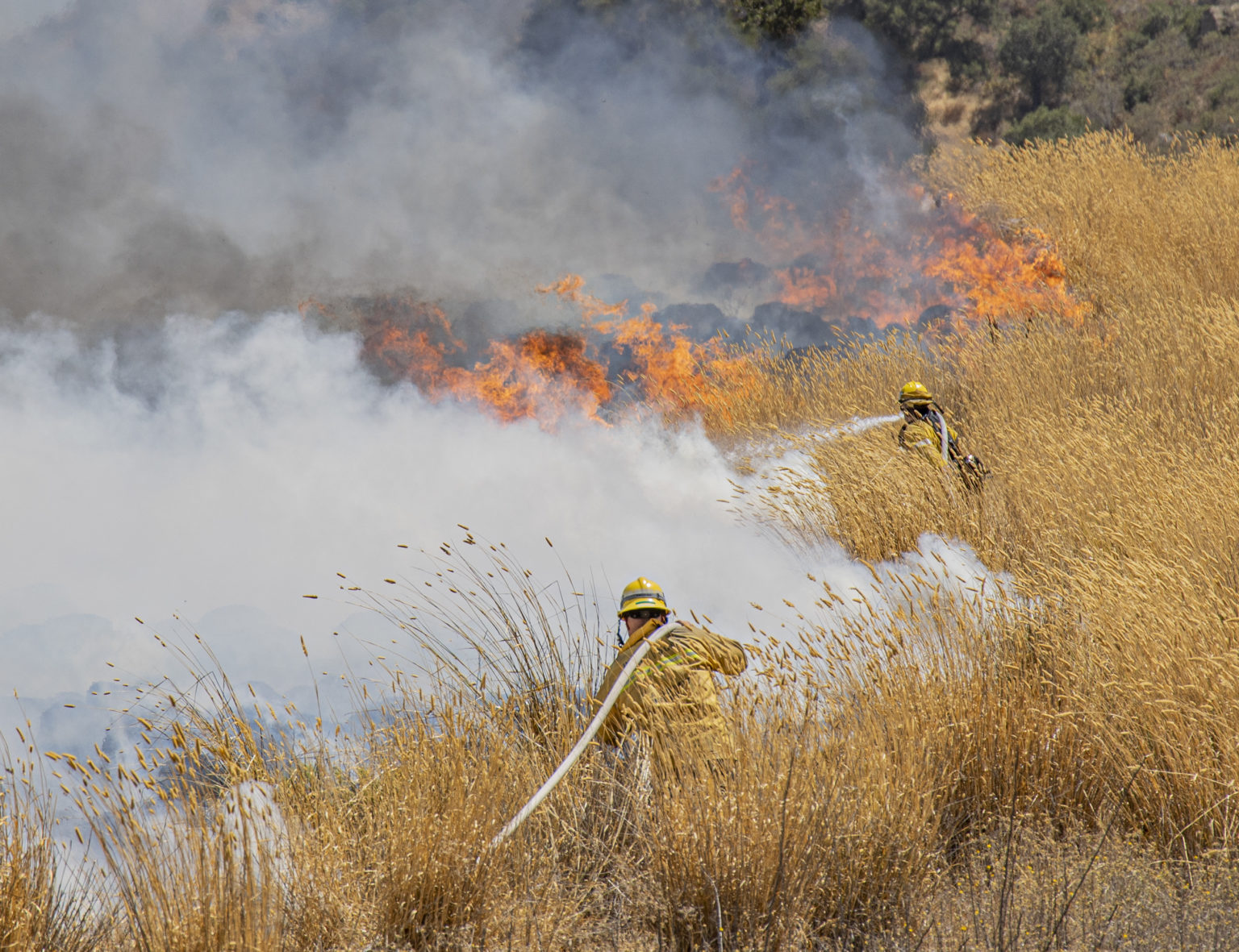 UPDATE: Elsmere Fire: Forward progress stopped, some roads reopen