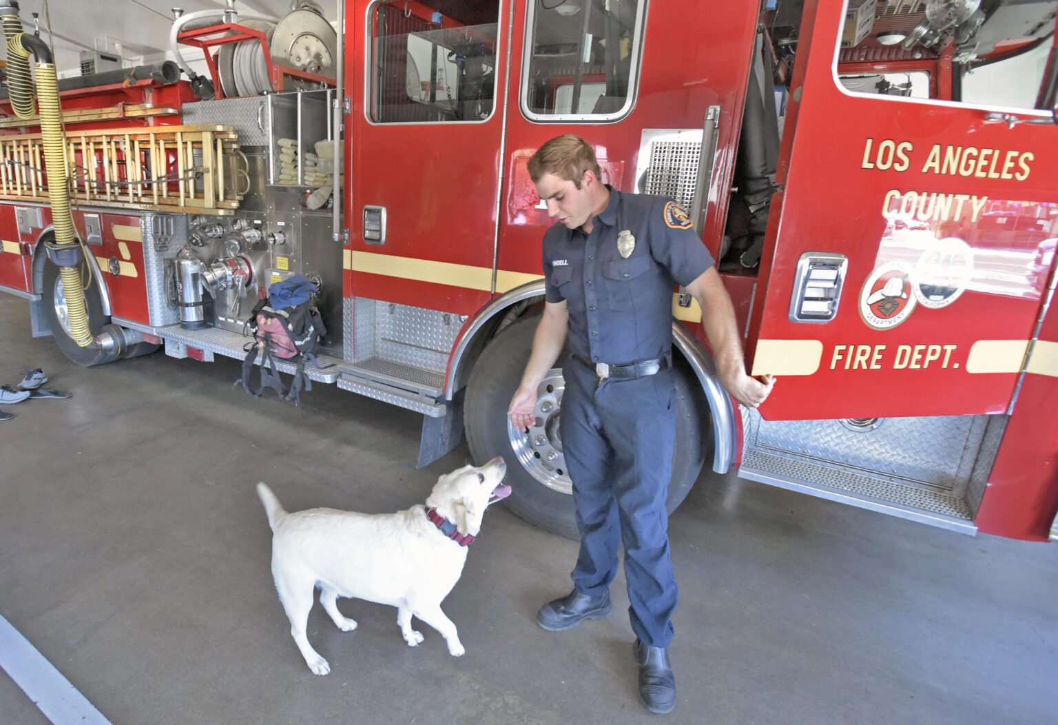 L.A. County firefighters in SCV embrace therapy dog Echo