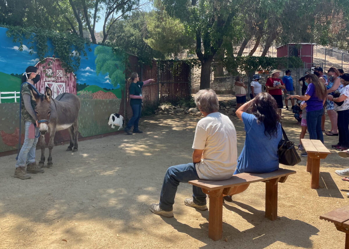 Hart Park Barnyard celebrates long-anticipated reopening