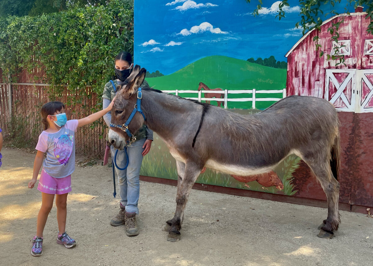 Hart Park Barnyard celebrates long-anticipated reopening