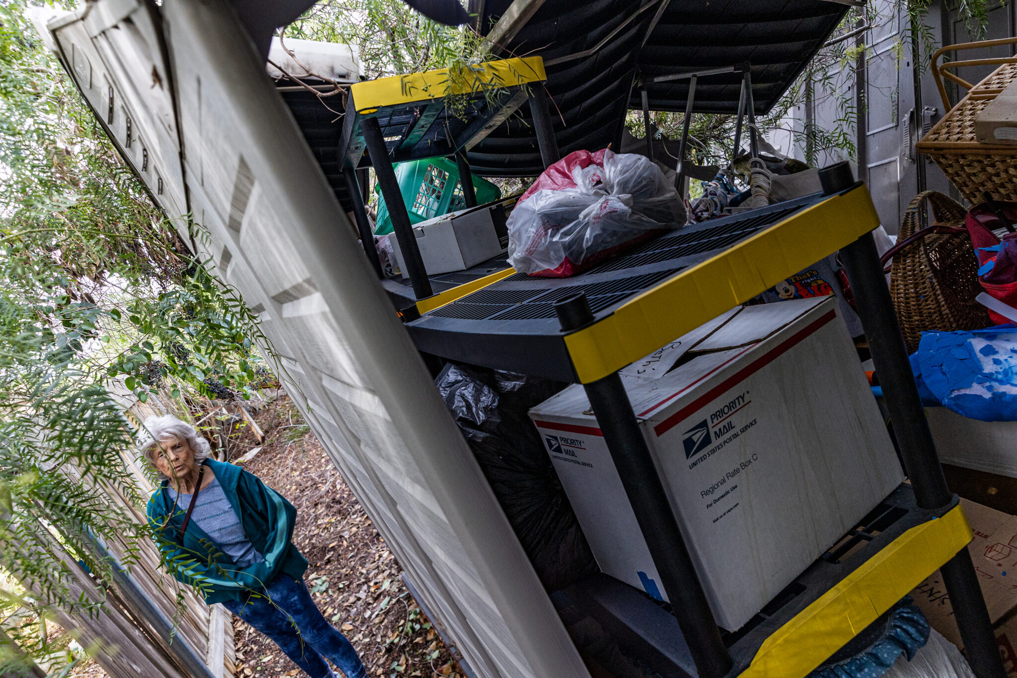 50-foot tree falls, damages backyard of Canyon Country home