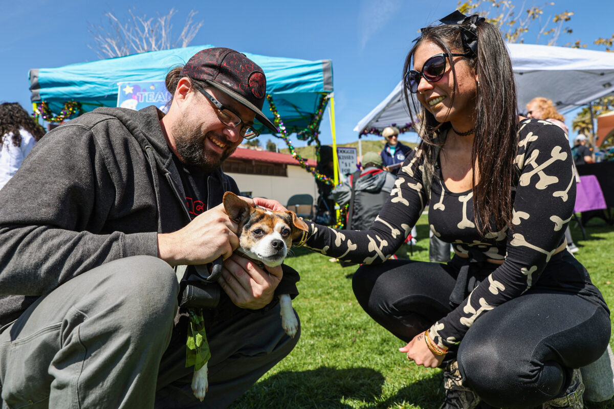 Bark for Life celebrates dogs, raises money for cancer