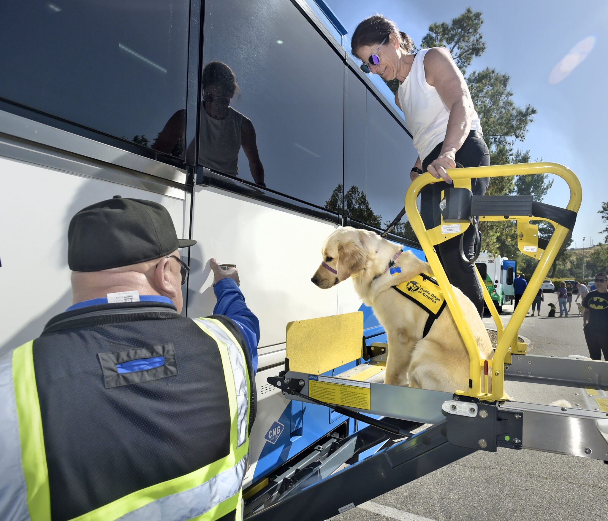 Service dog puppies take on the ultimate training course