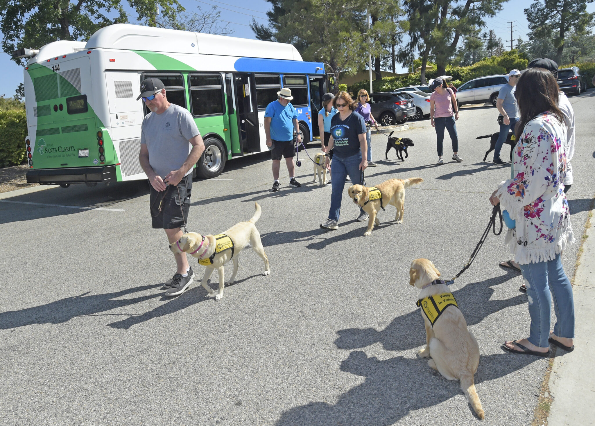 Service dog puppies take on the ultimate training course
