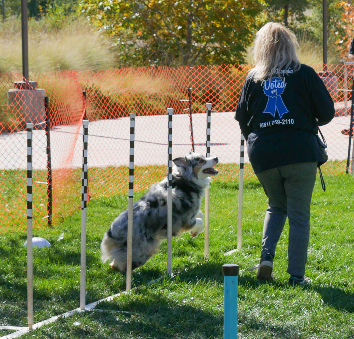 ‘Bark for Life’ aims to collar cancer