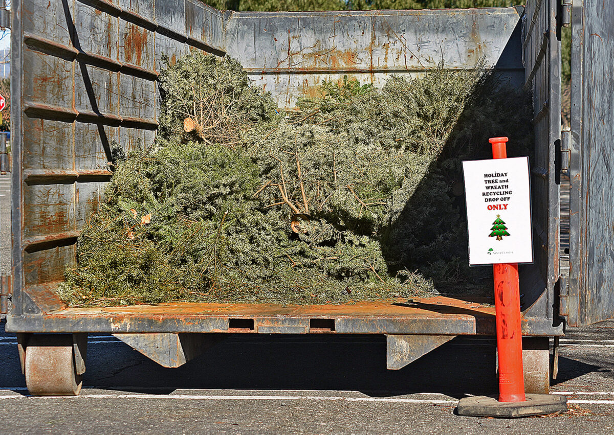 Tree recycling concludes this weekend