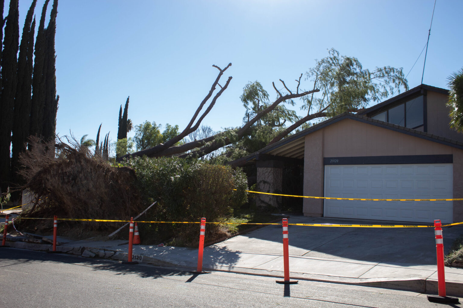 Wind blows city tree onto Valencia home