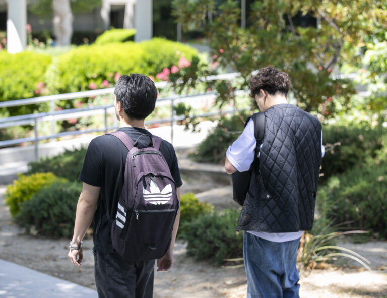 COC, state fight enrollment fraud