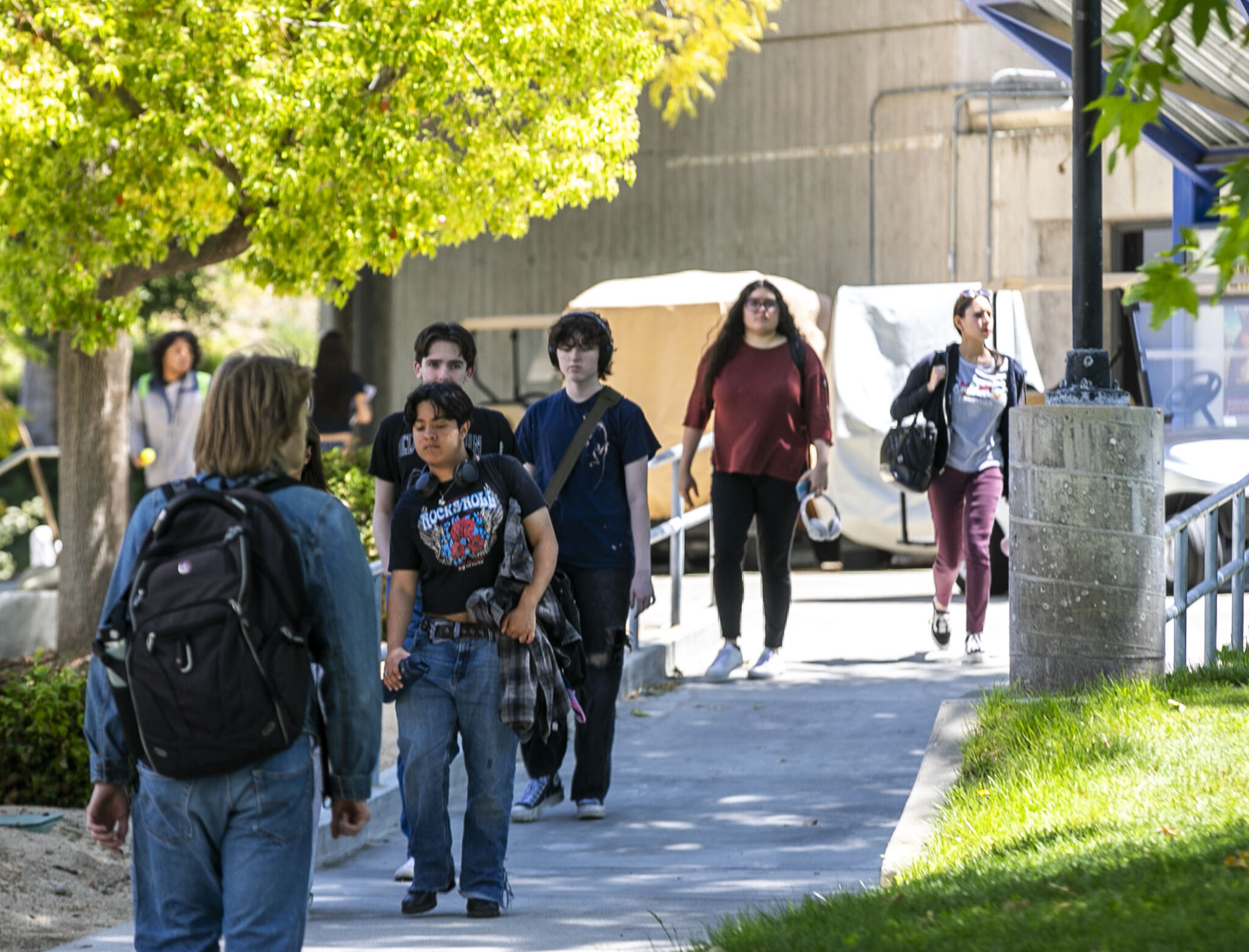 COC, state fight enrollment fraud