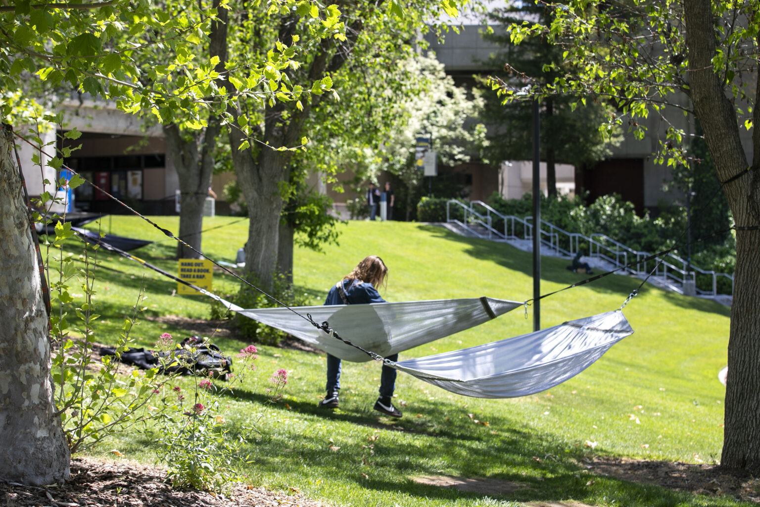 COC, state fight enrollment fraud