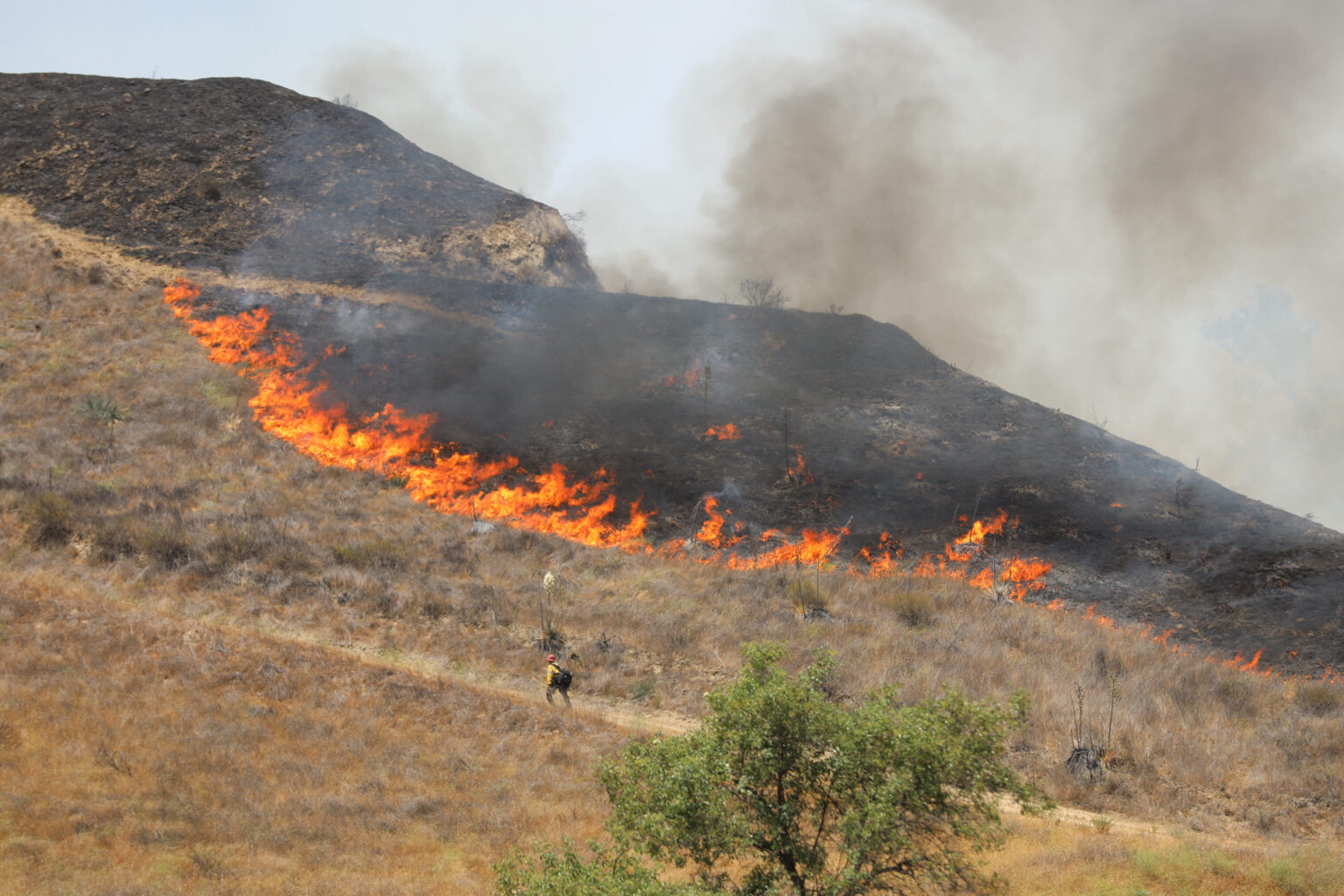 Jasper Fire burns toward Chiquita landfill
