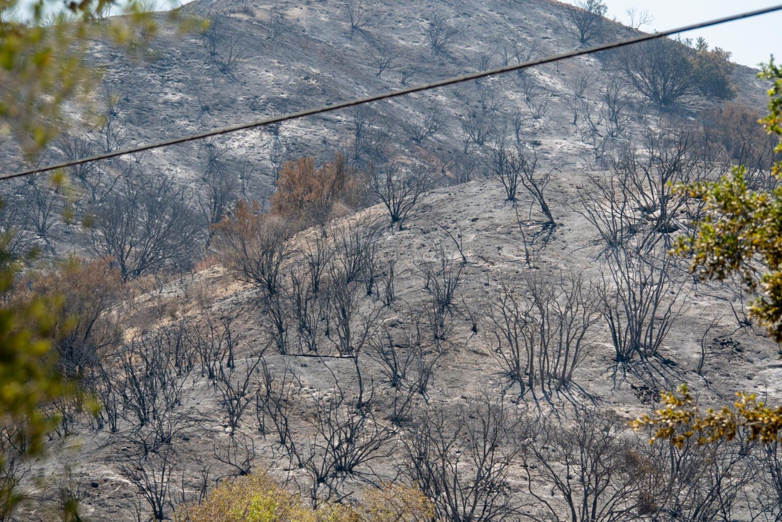 Canyon Fire: 94% containment, SCV fire lines contained